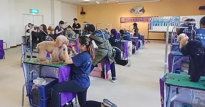 license - ペットスタイリスト国際協会 psia